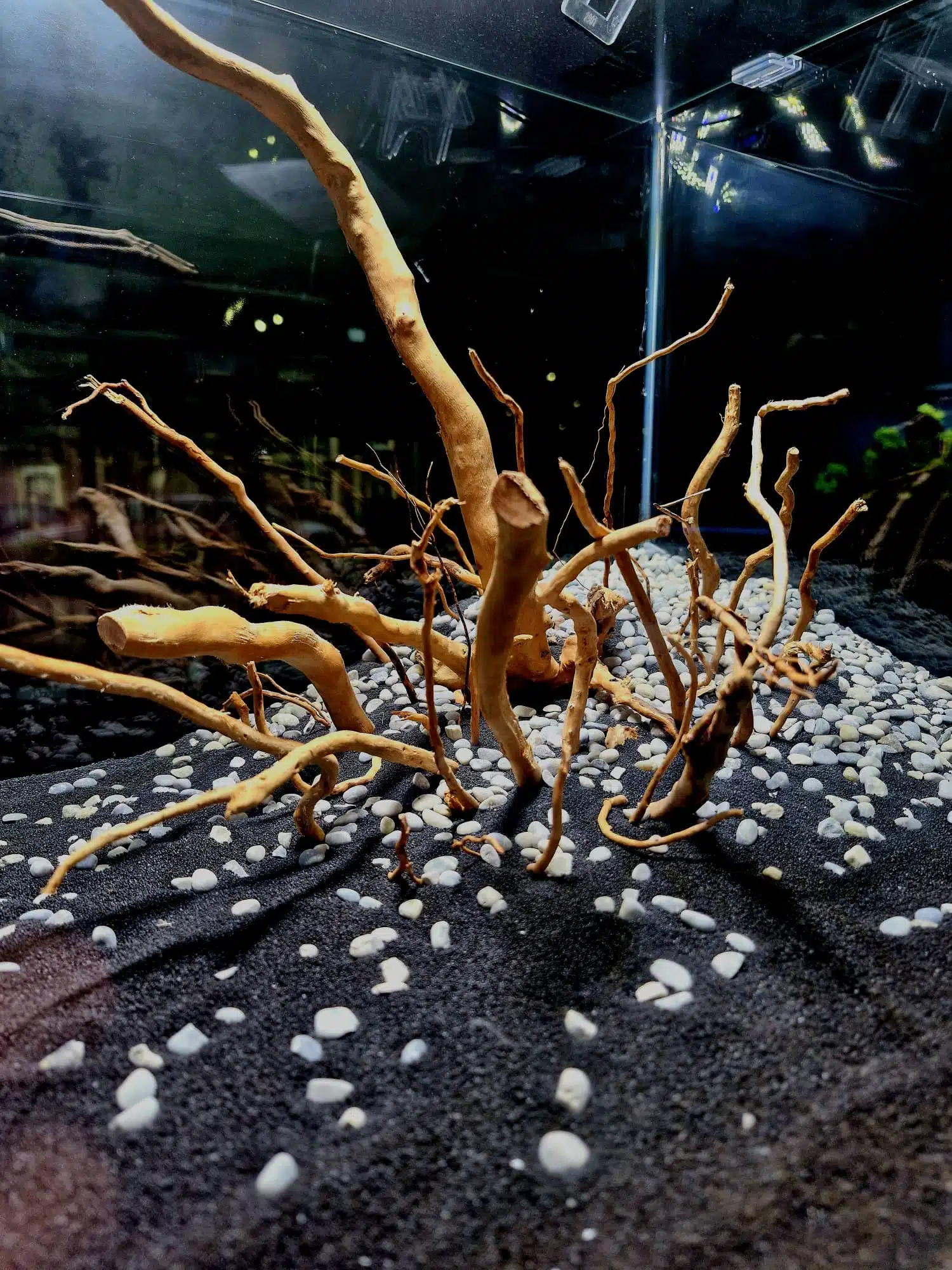 maatwerk | onderhoud | aquarium | aquaria | aquarium Coenen Best